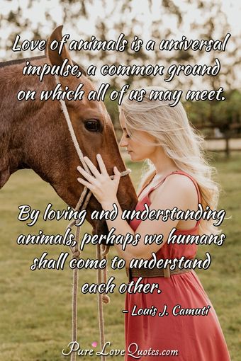 Animal Love Quotes | PureLoveQuotes