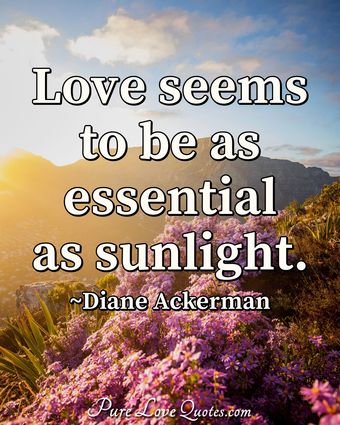 133 Quotes About The Meaning Love | PureLoveQuotes