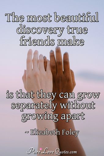 50 Friendship Quotes for True Friends | PureLoveQuotes