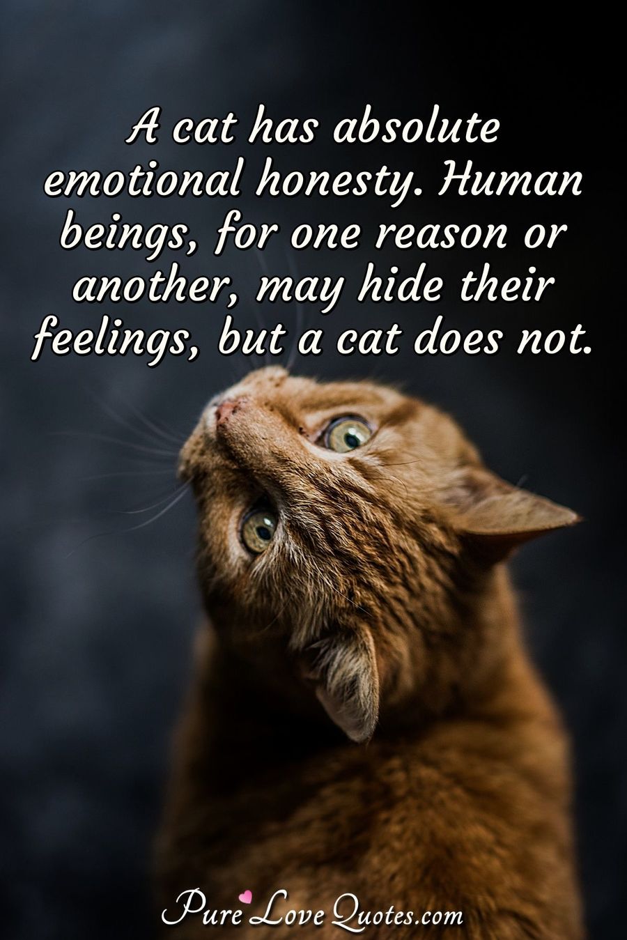 A cat has absolute emotional honesty. Human beings, for one reason or ...