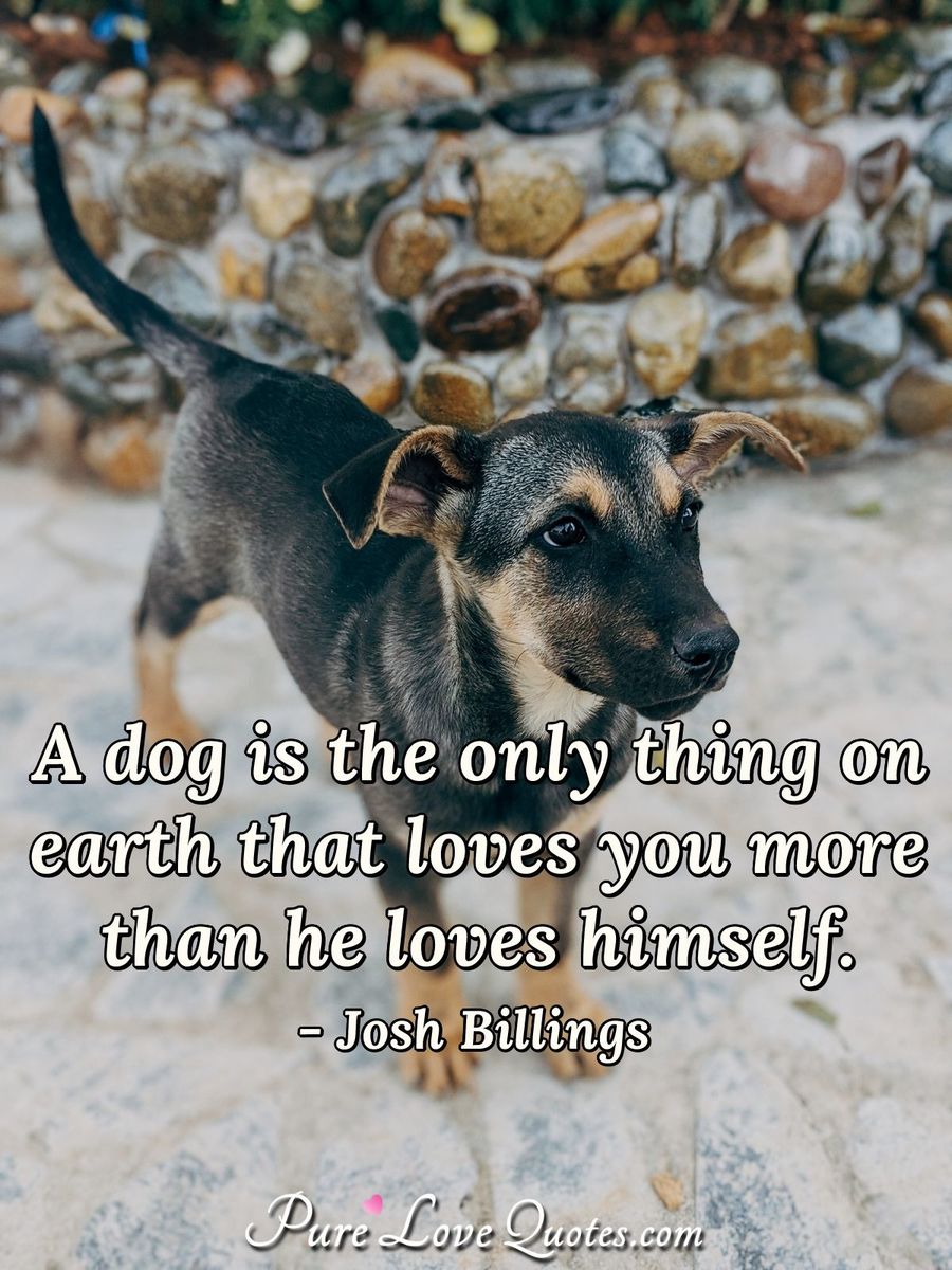 Josh Billings Love Quotes | PureLoveQuotes