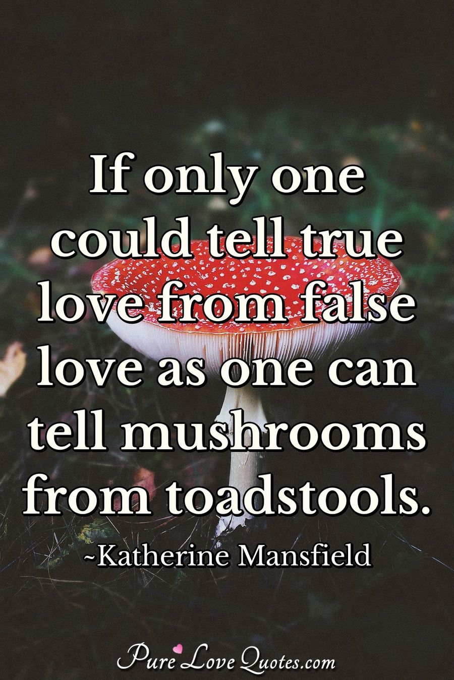 True Love Quotes | PureLoveQuotes