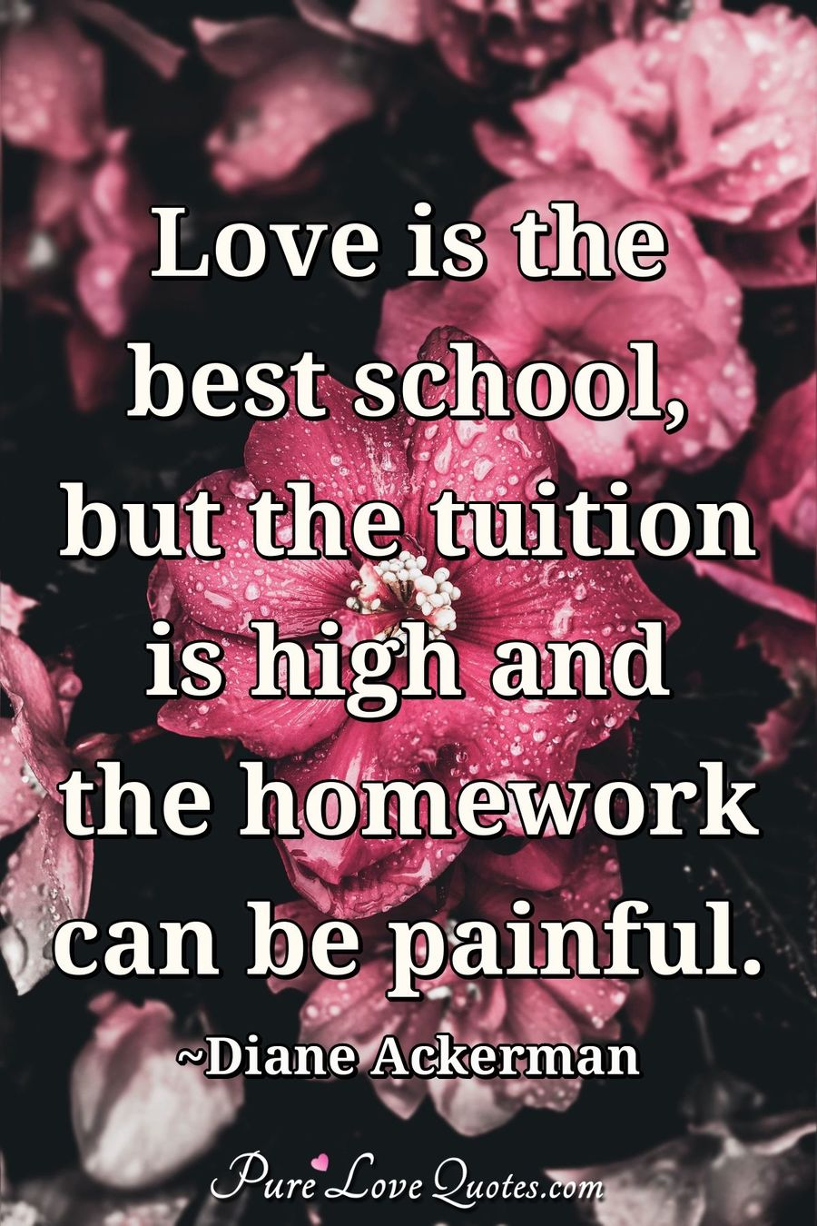 University Love Quotes