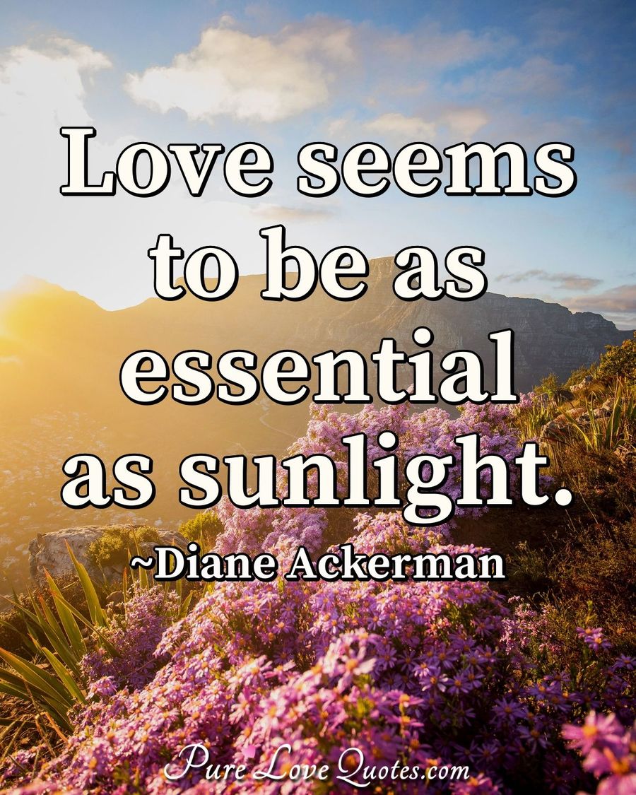 133 Quotes About The Meaning Love | PureLoveQuotes