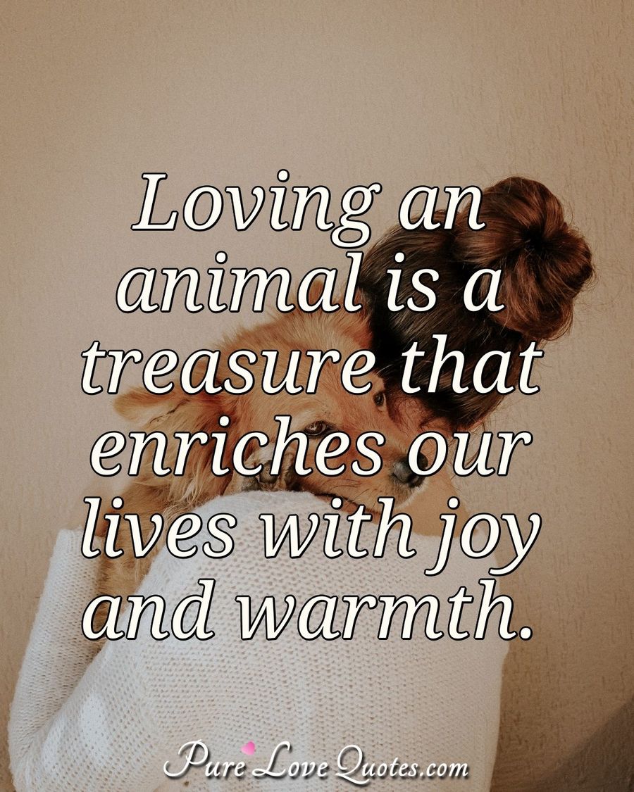 Loving an animal is a treasure that enriches our lives with joy and ...
