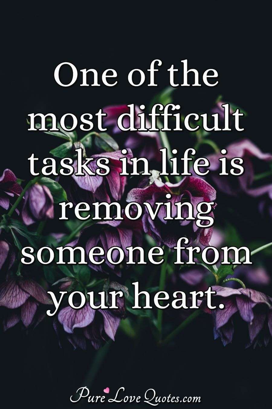 One of the most difficult tasks in life is removing someone from your ...