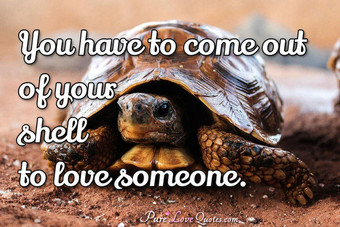 You have to come out of your shell to love someone. | PureLoveQuotes