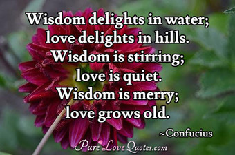 True wisdom is knowing how to love. | PureLoveQuotes