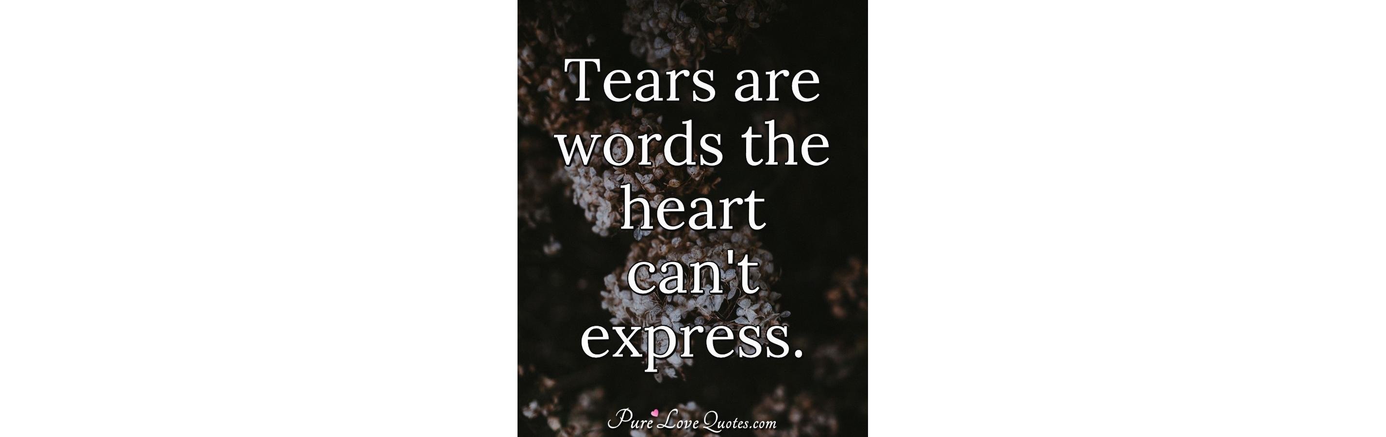 Words Cant Express Quotes